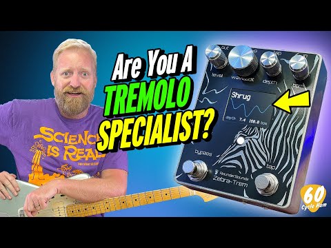 Do you LOVE TREMOLO? – Then you NEED TO KNOW About the Zebra Trem ...