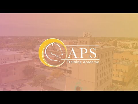 What is APS Training Academy?