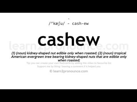 Pronunciation of Cashew | Definition of Cashew