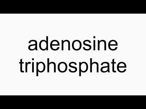 How to pronounce adenosine triphosphate