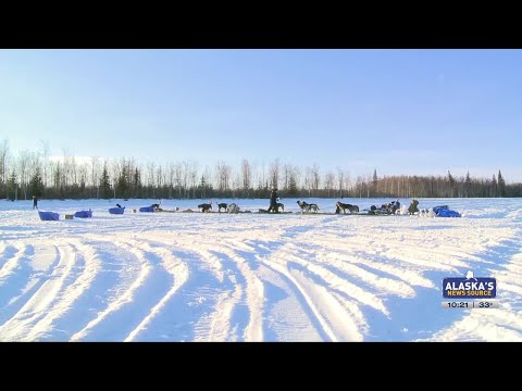 Tuesday evening Iditarod update: Mushers in Tanana