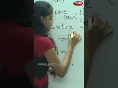 The Indefinite article examples - Une - Part -1 | Learn French Through English