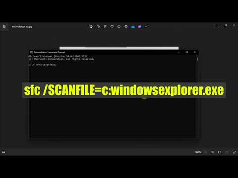 4 Ways to Fix Error 0x800700E1 "File Contains a Virus" (Windows 10 & 11)