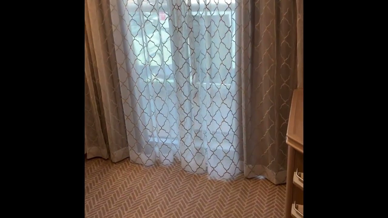 Cabin C533 - Balcony - Sky Princess