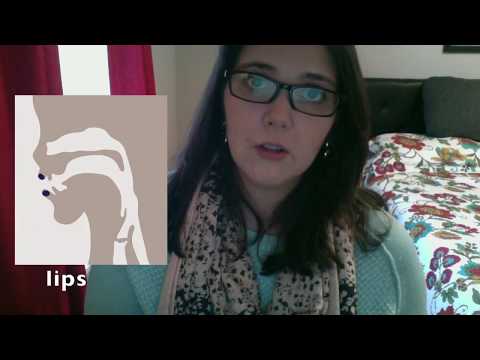 The Vocal Tract (L101 Ep. 3)