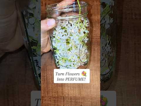 Turn Flowers into PERFUME! Check out the description for the health benefits. 🌼🌻🏵🌸💐