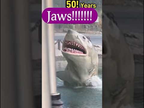 Jaws! 50 Years! Universal Hollywood Studios! #jaws #universalparks #shorts