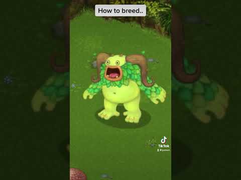 How to breed entbrat ????