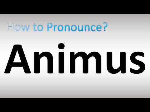 How to Pronounce Animus