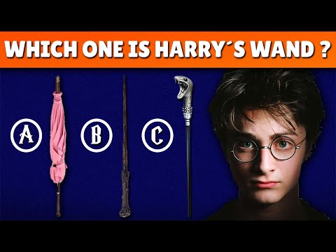 Guess The Harry Potter Wands | Harry Potter Wand Quiz