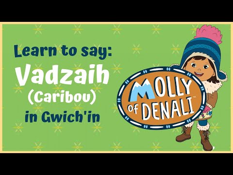 Vadzaih | MOLLY OF DENALI