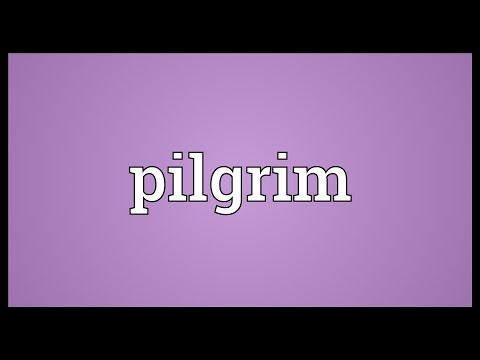 Pilgrim Meaning