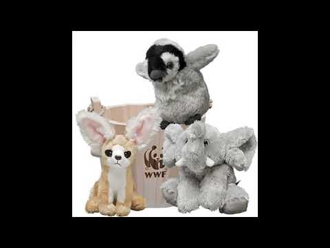 Donate to the World Wildlife Fund