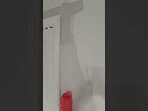 Why does paint look a different colour when it's wet?