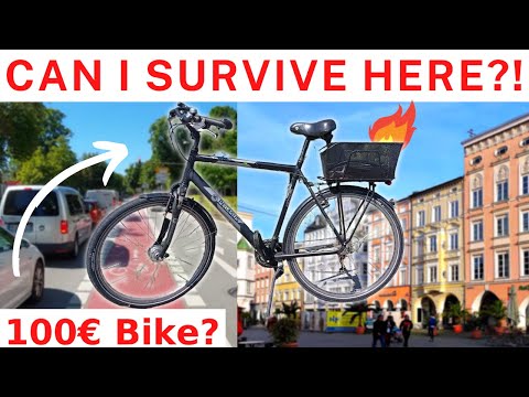 Can I Survive One Day without a Car in this German City?