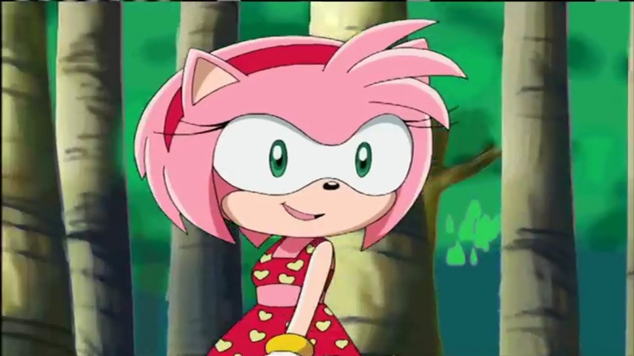 Sonic X All Amy Rose Outfits Compilation 