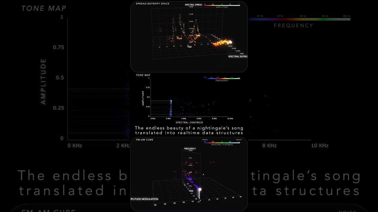 A Nightingale's Song Translated Into Data