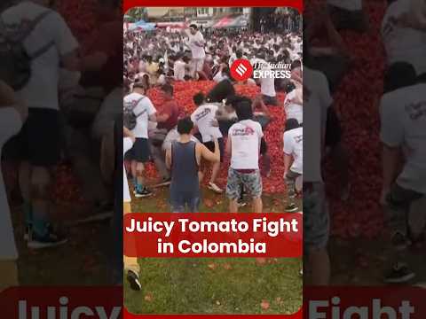 Tomato Mayhem! Gran Tomatina Colombia Returns with 45 Tonnes of Fruit Flinging Fun