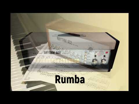Rhythm Ace Drum Machine Replica | Reverb