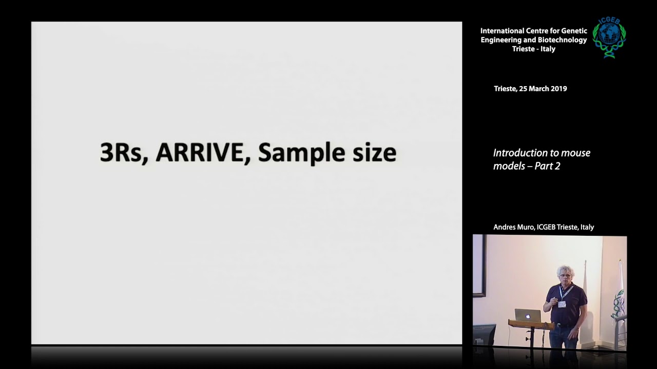 A. Muro - Introduction to mouse models – Part 2