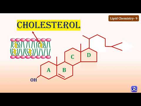 9: Colesterolo: struttura e funzioni | Chimica dei lipidi-9 | Biochimica | N'JOY Biochimica
