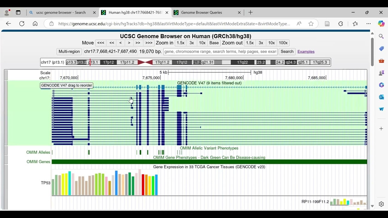 Exploring Genomic Data with UCSC Genome Browser