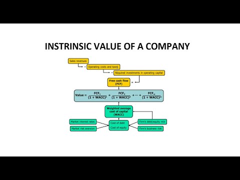 Intrinsic Value of a Company