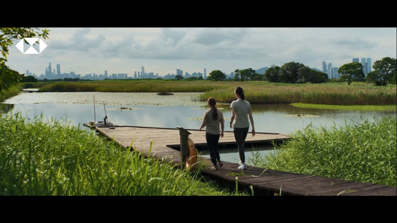 Supporting an otter conservation project