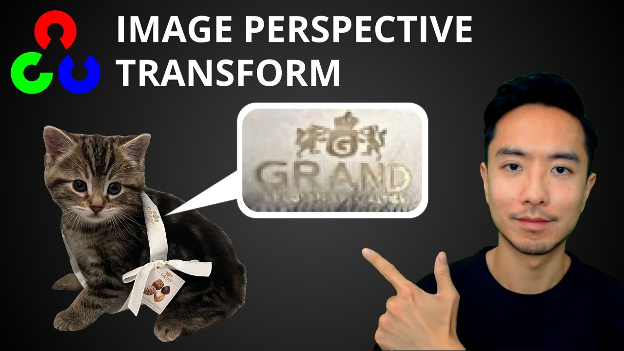 OpenCV Python Image Perspective Transform