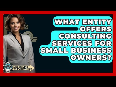What Entity Offers Consulting Services For Small Business Owners? - AssetsandOpportunity.org