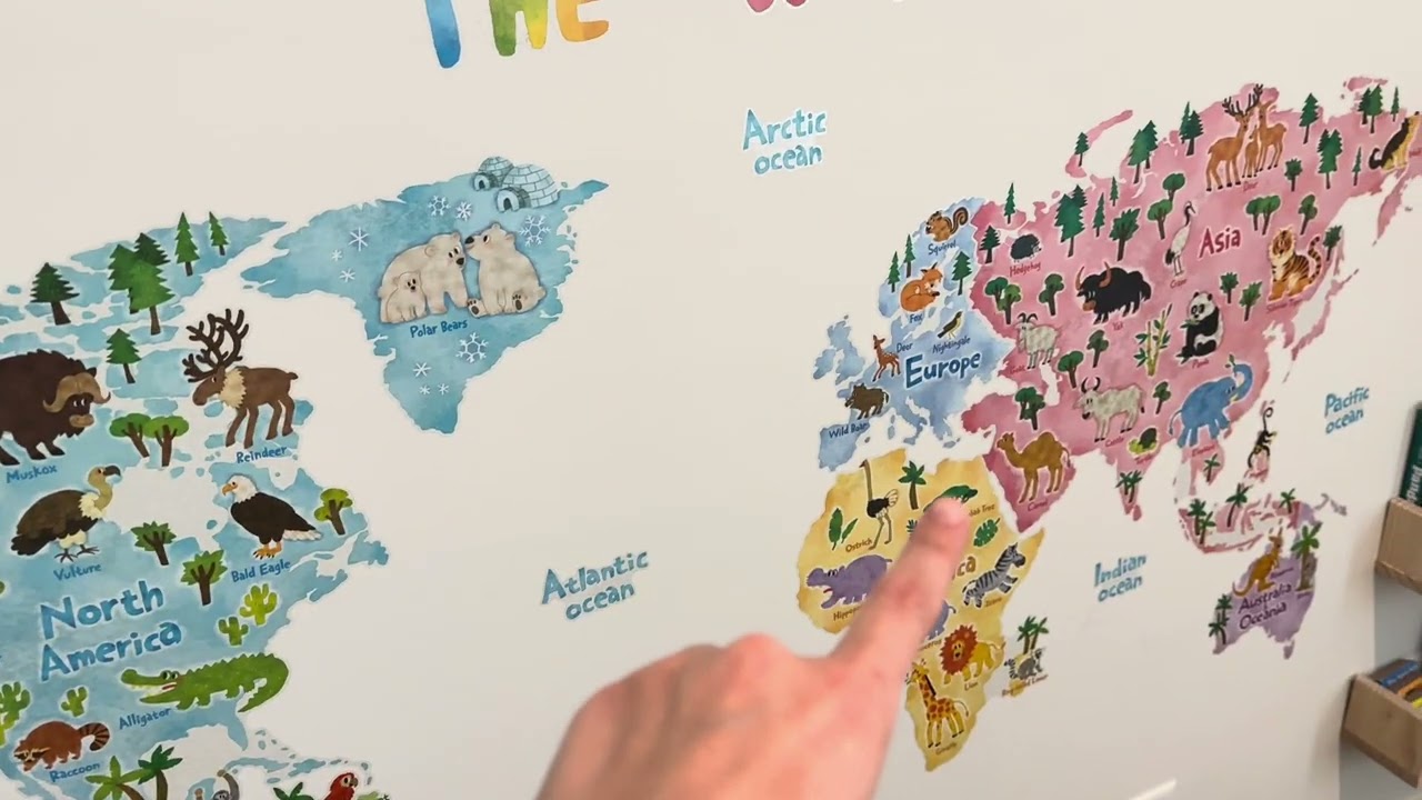 DECOWALL Animal World Map Wall Decals Review 🌍 Fun & Educational Room Decor for Kids