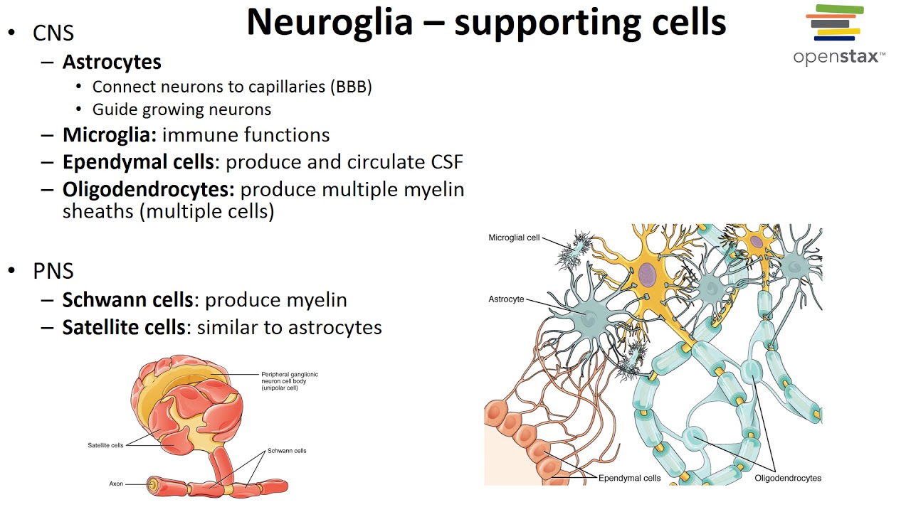 Chapter 12 Recorded Lecture