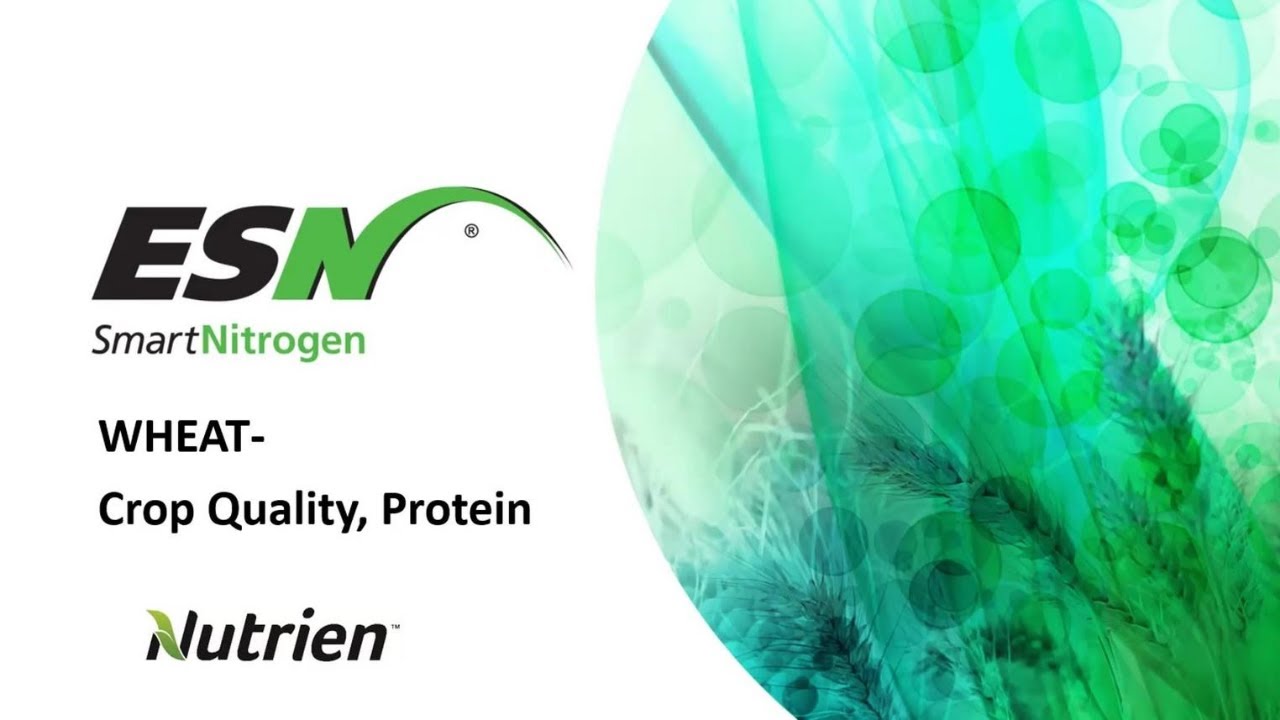 Feed Your Crops All Season Long | ESN Smart Nitrogen