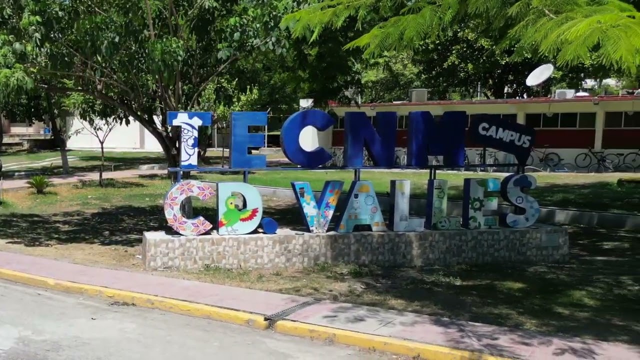Promoción TecValles 2024
