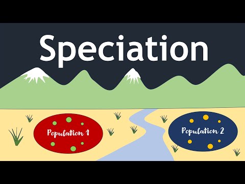 Speciation: The Evolutionary Process | Basic Science Series