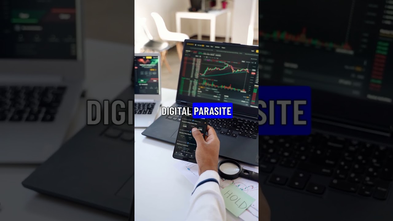 The Watcher in the Code