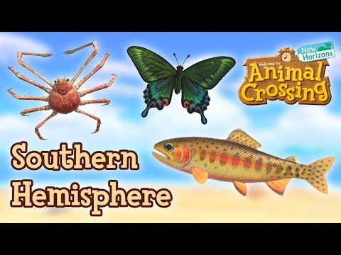 ALL NEW Southern Hemisphere Fish, Bugs, and Sea Creatures In September! Animal Crossing New Horizons