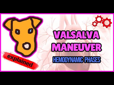 Physiology: Hemodynamics of a Valsalva maneuver