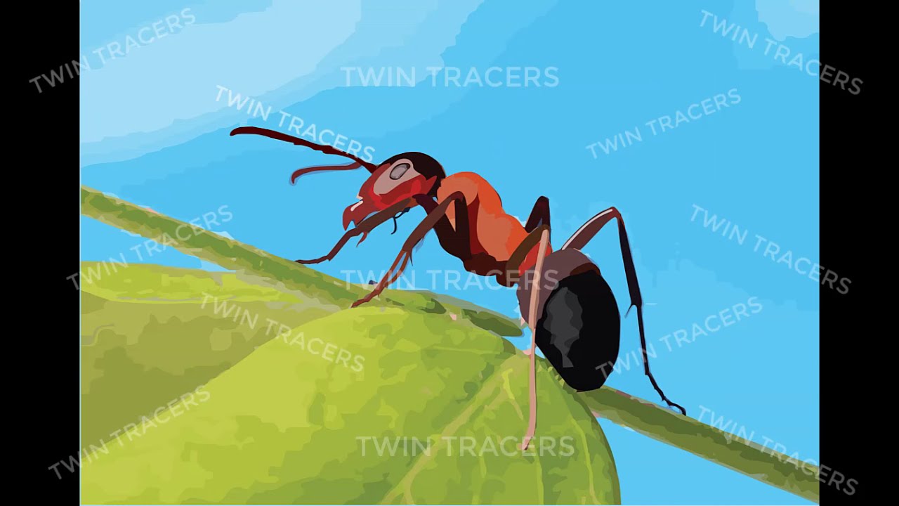 Vector Art Of Ant In Adobe llustrator