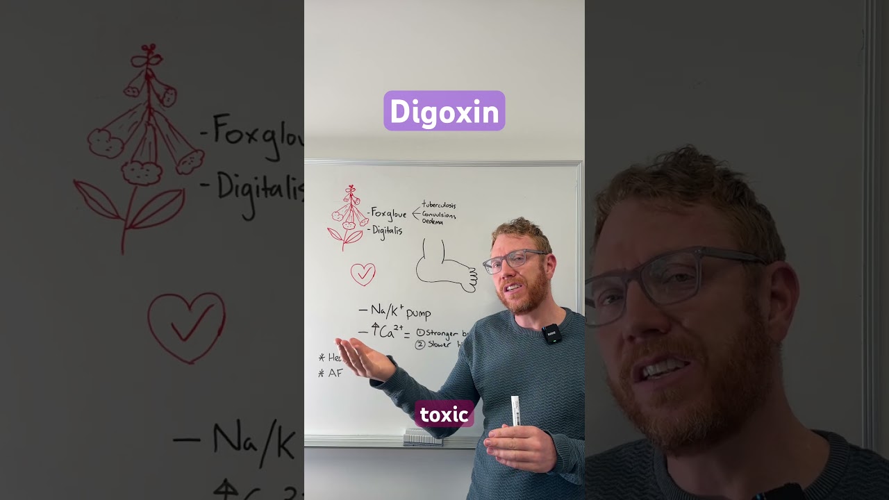 Digoxin: The wildflower that treats heart failure