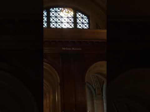 Library Tour Part 1:NYPL - Stephen A. Schwarzman Building
