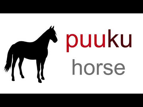 Comanche Word of the Day: puuku/horse