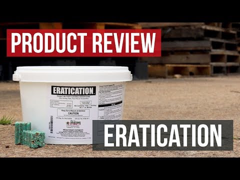 Eratication Rodent Bait: Product Review