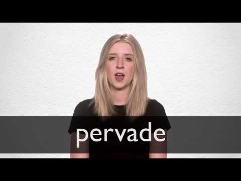 PERVADE 释义 | 柯林斯英语词典