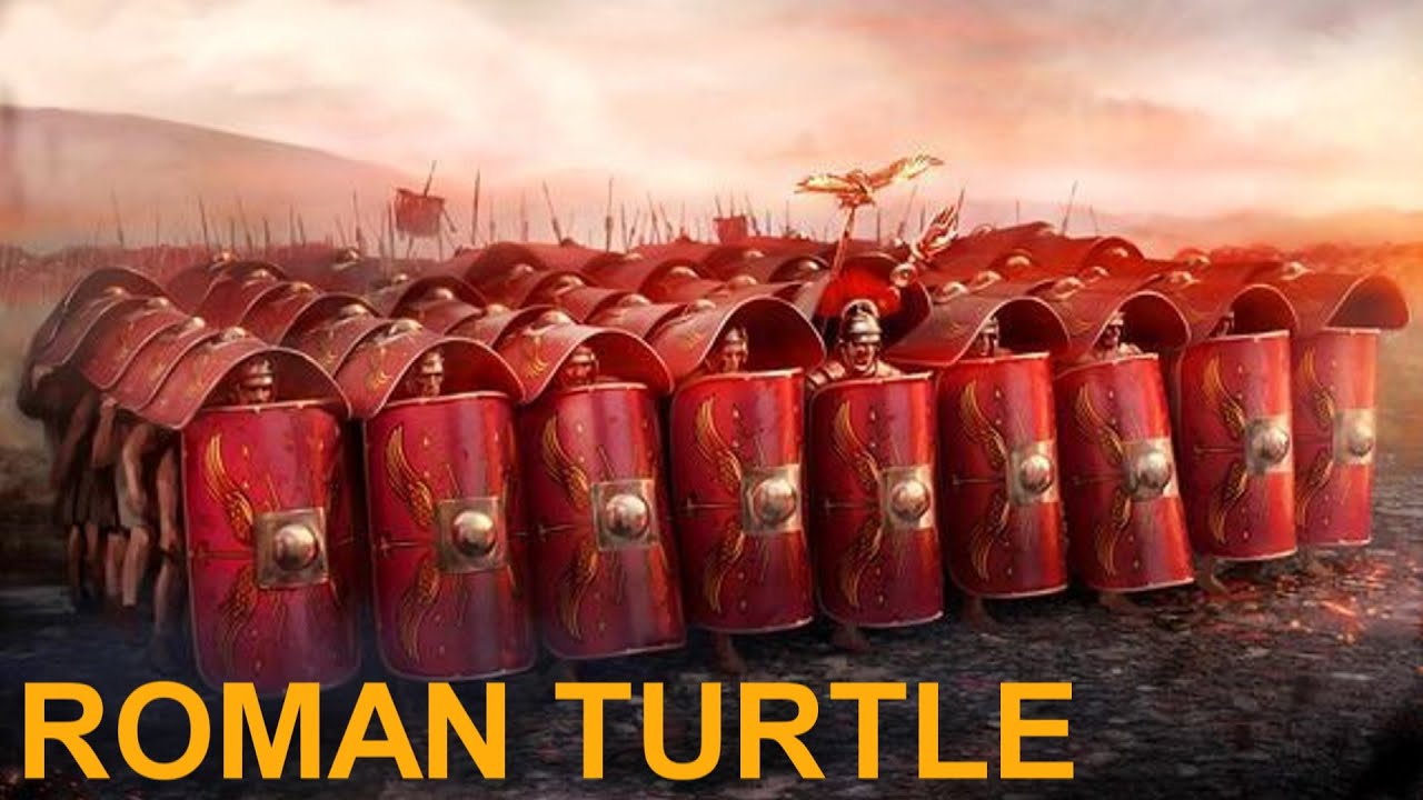 Roman Tortoise