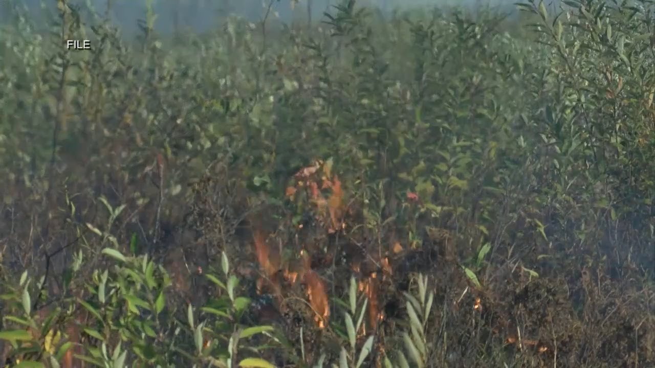 Wildfire warnings across the state
