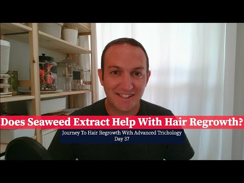 Does Seaweed Extract Help With Hair Regrowth? Day 37 Journey To Hair Regrowth