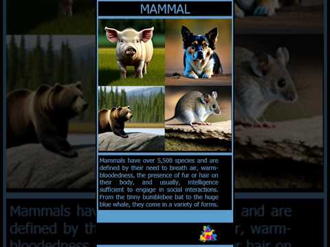 Mammal Facts: What a marvellous Mix! - Animal Adventure Ave.