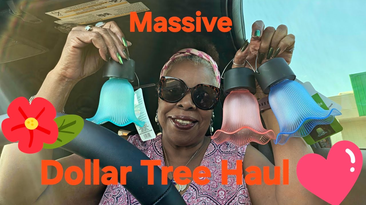 Sunday Massive Dollar Tree Haul 🌳. #dollartreenewfinds #dollartree 
