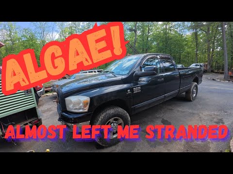 Low Fuel Pressure issue on a 3rd Gen Cummins: Fuel pump Replacement